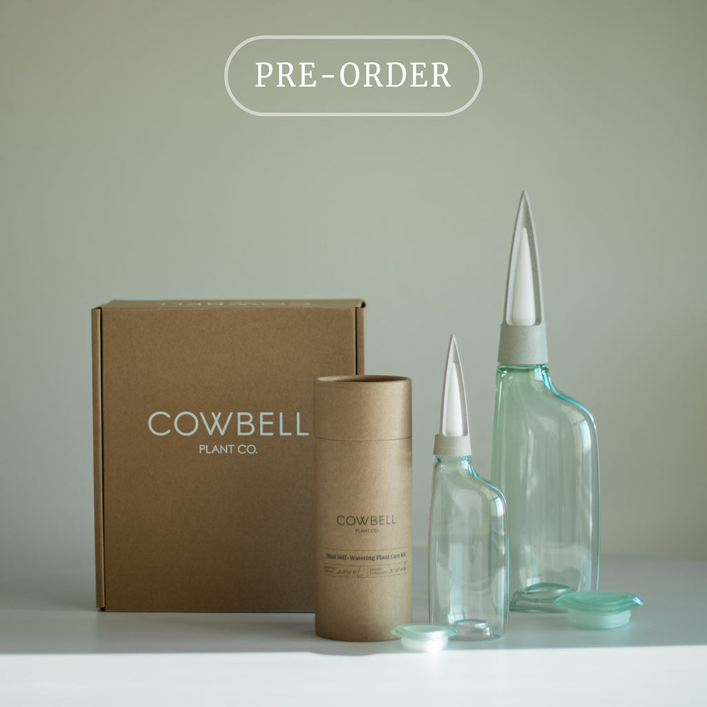 Cowbell Plant Self-Watering System Gift Set – Cowbell Plant Co.